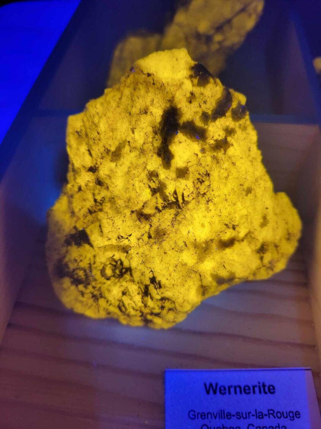 Wernerite Specimen - Good for Problem Solving and Achievement - Etsy