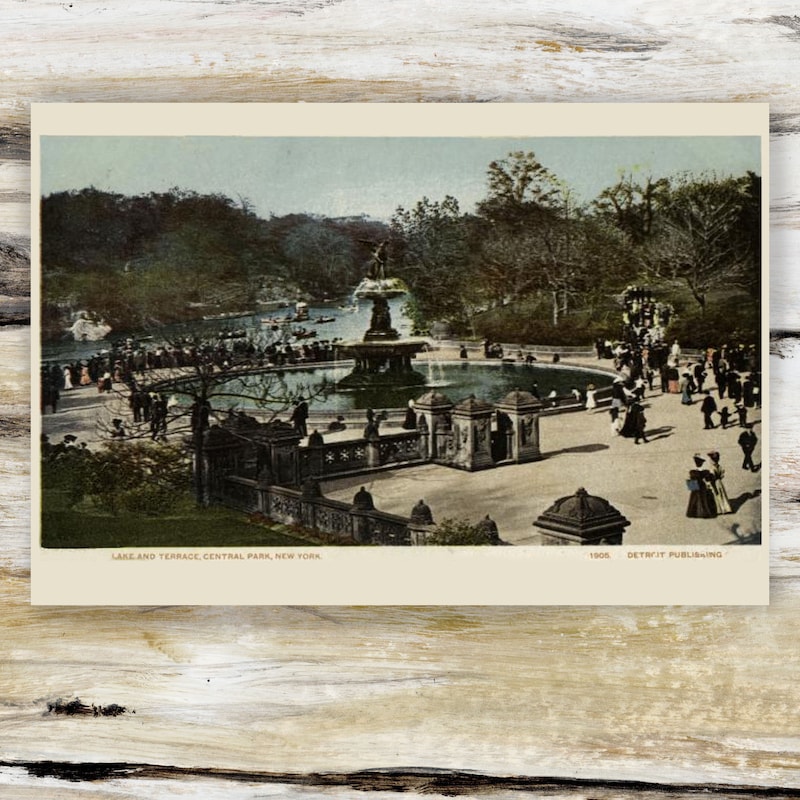 Park Postcard - Etsy