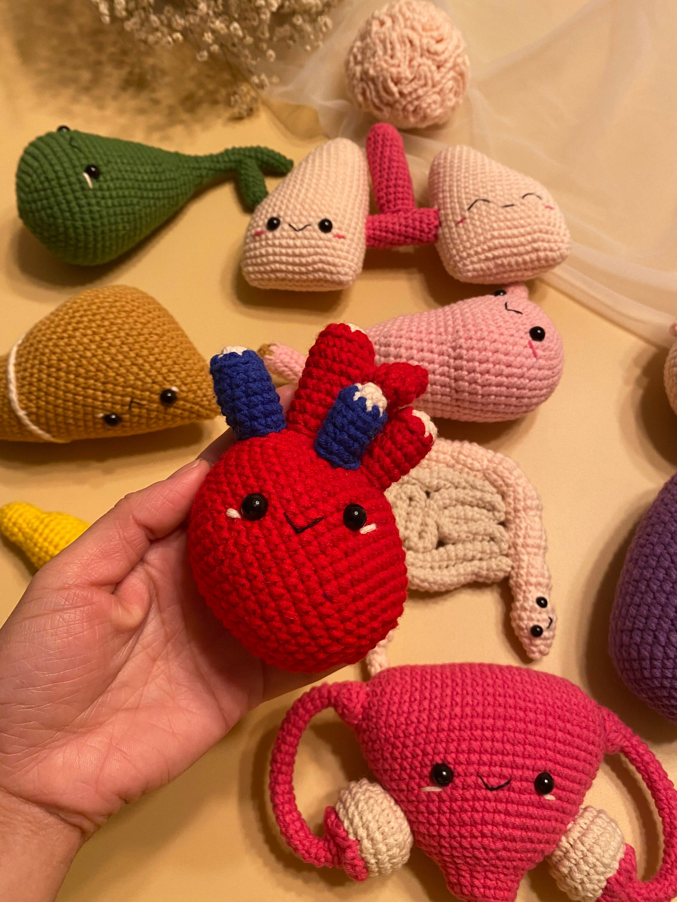 Crochet Human Organs Human Anatomical Organs Plushies Human - Etsy