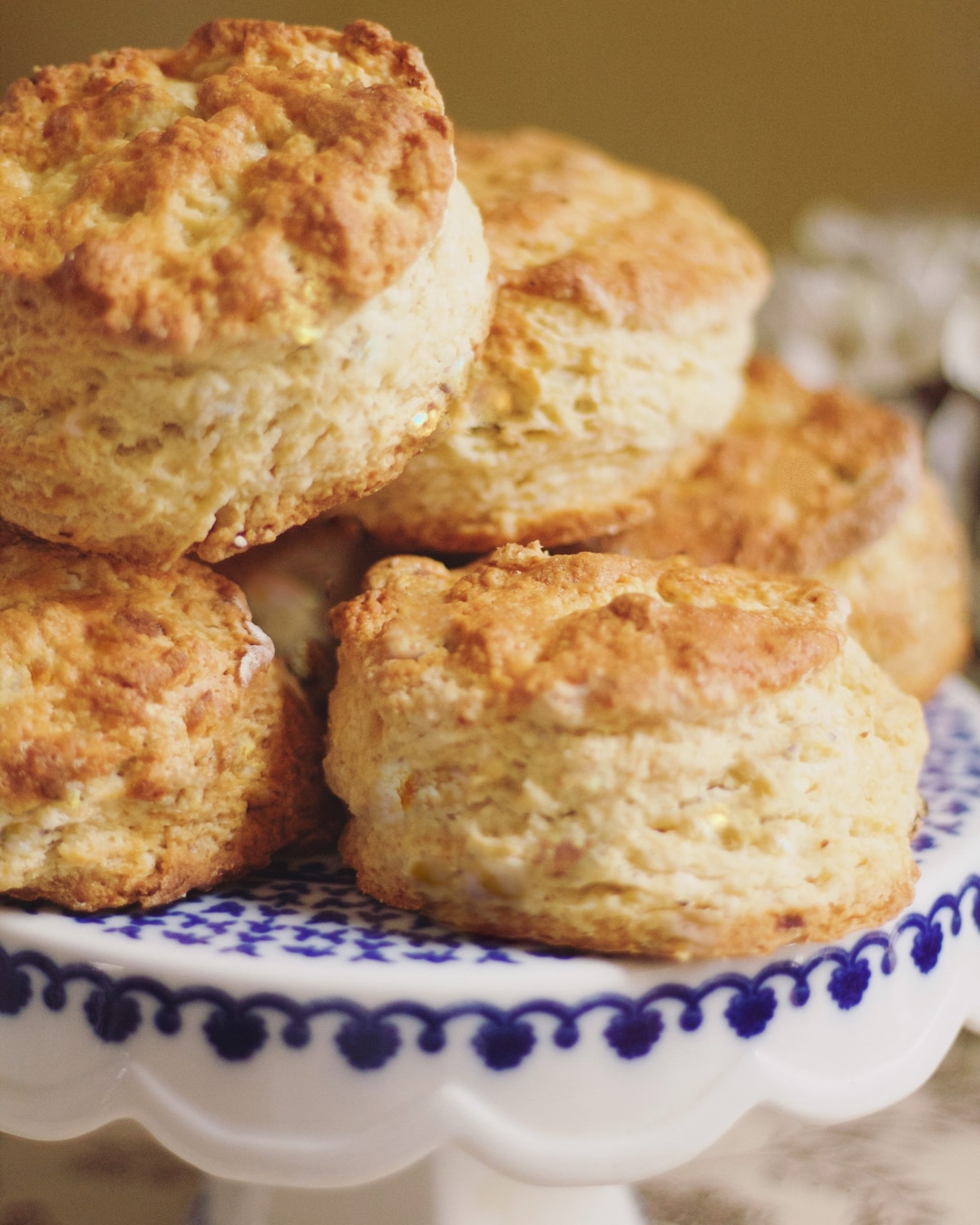 1/2 Dozen Traditional English Scone-plain - Etsy