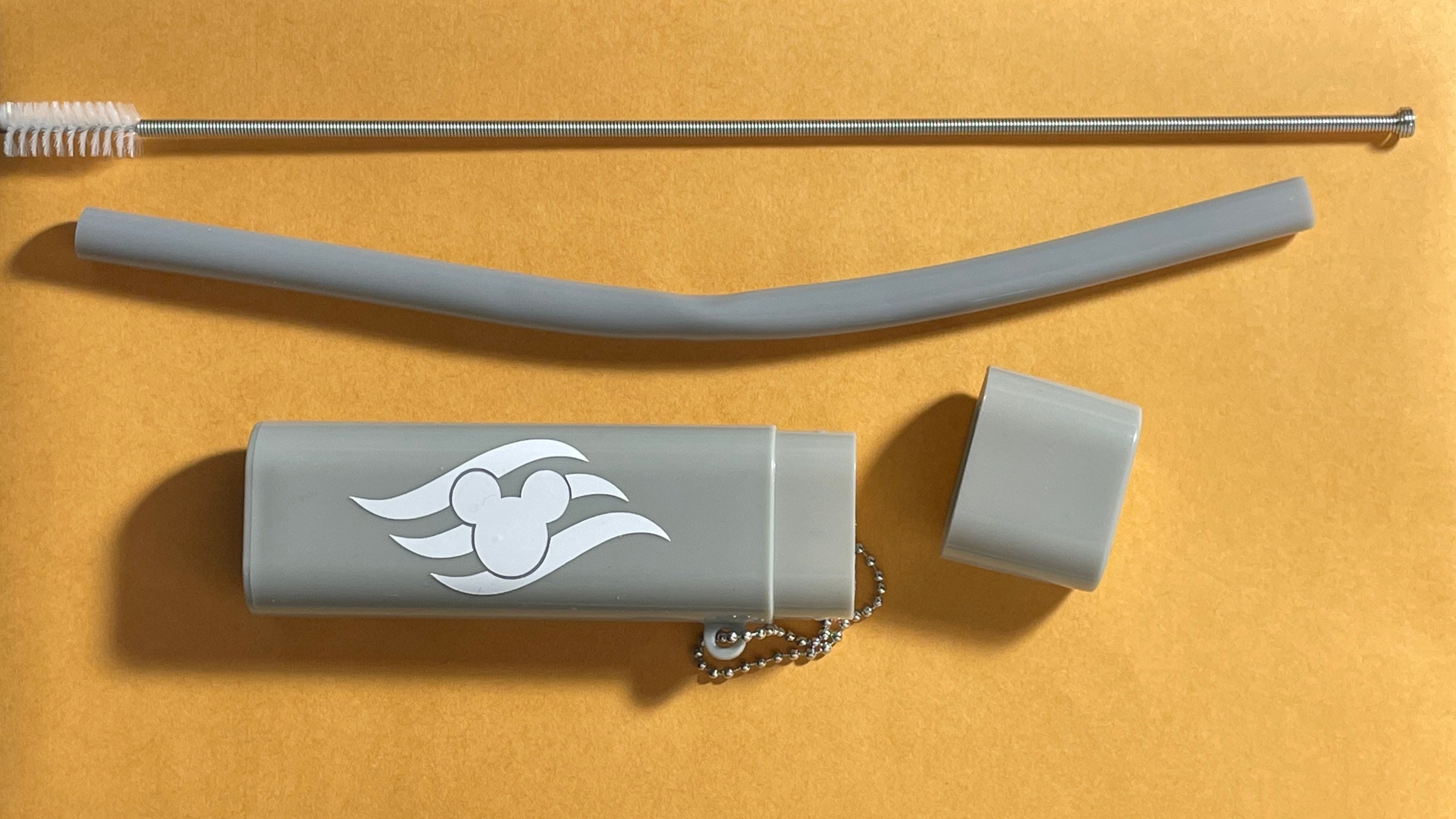 Disney Cruise Line Inspired Reusable Silicone Travel Straw. - Etsy