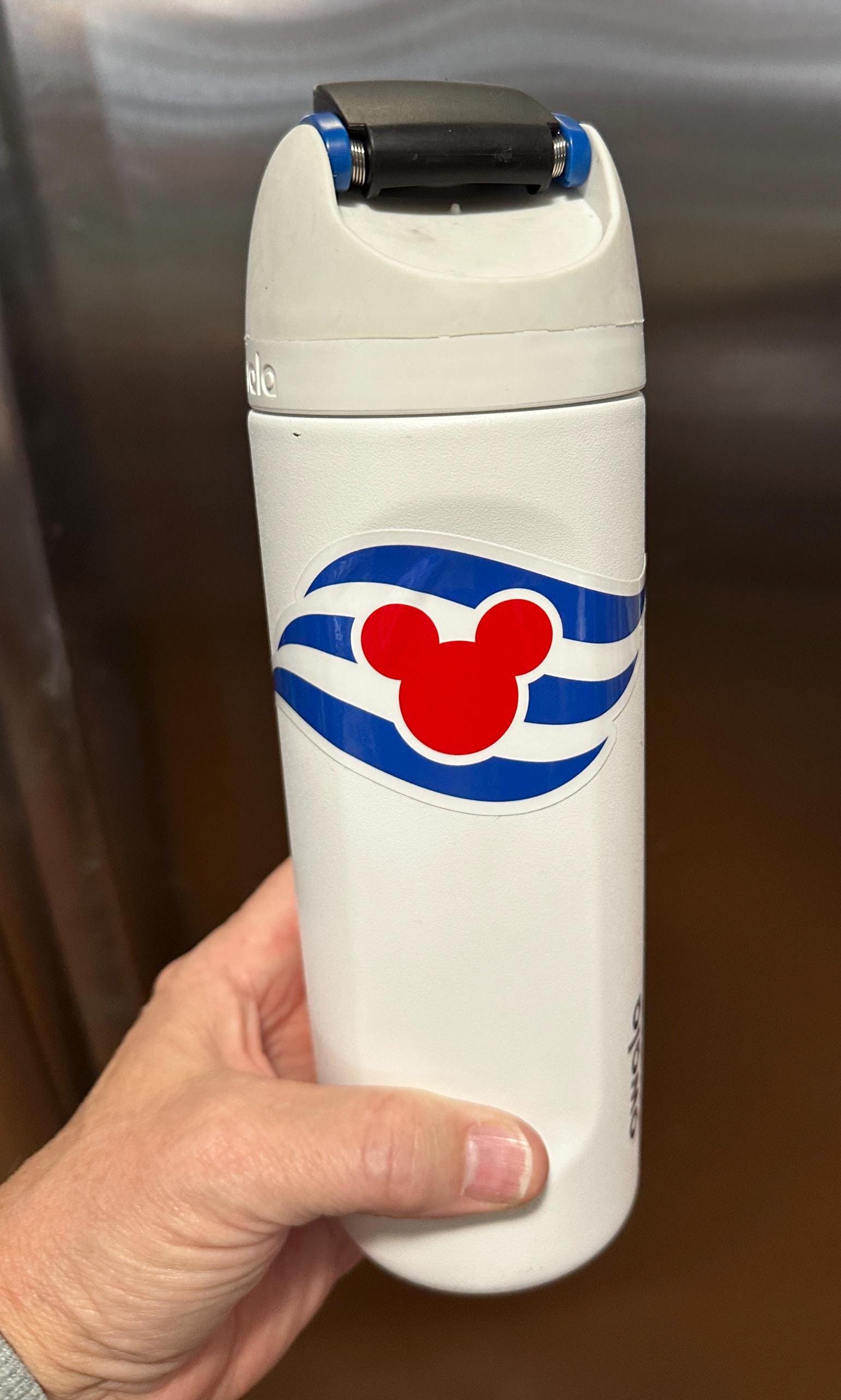 Disney Cruise Line Logo Sticker – Waterproof Vinyl Decal (5"x2.5") for ...