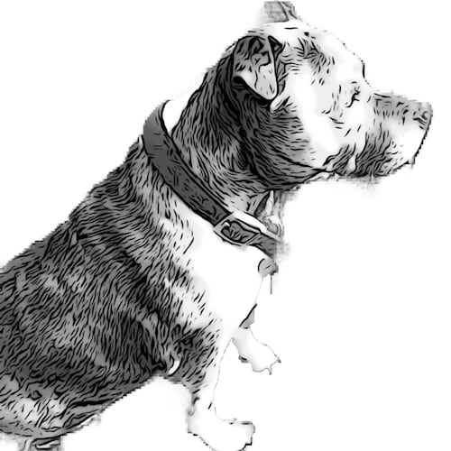 WigglesGifts - Etsy UK