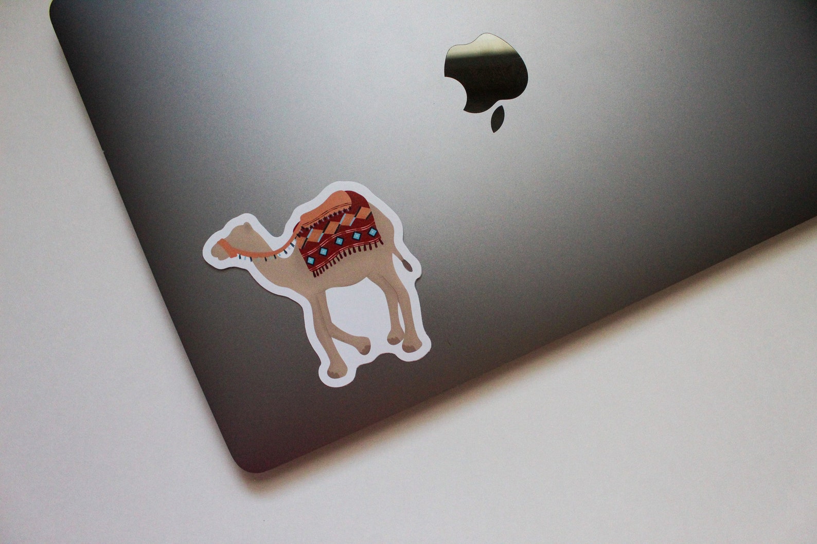 Camel Sticker Arab Egypt Middle East - Etsy