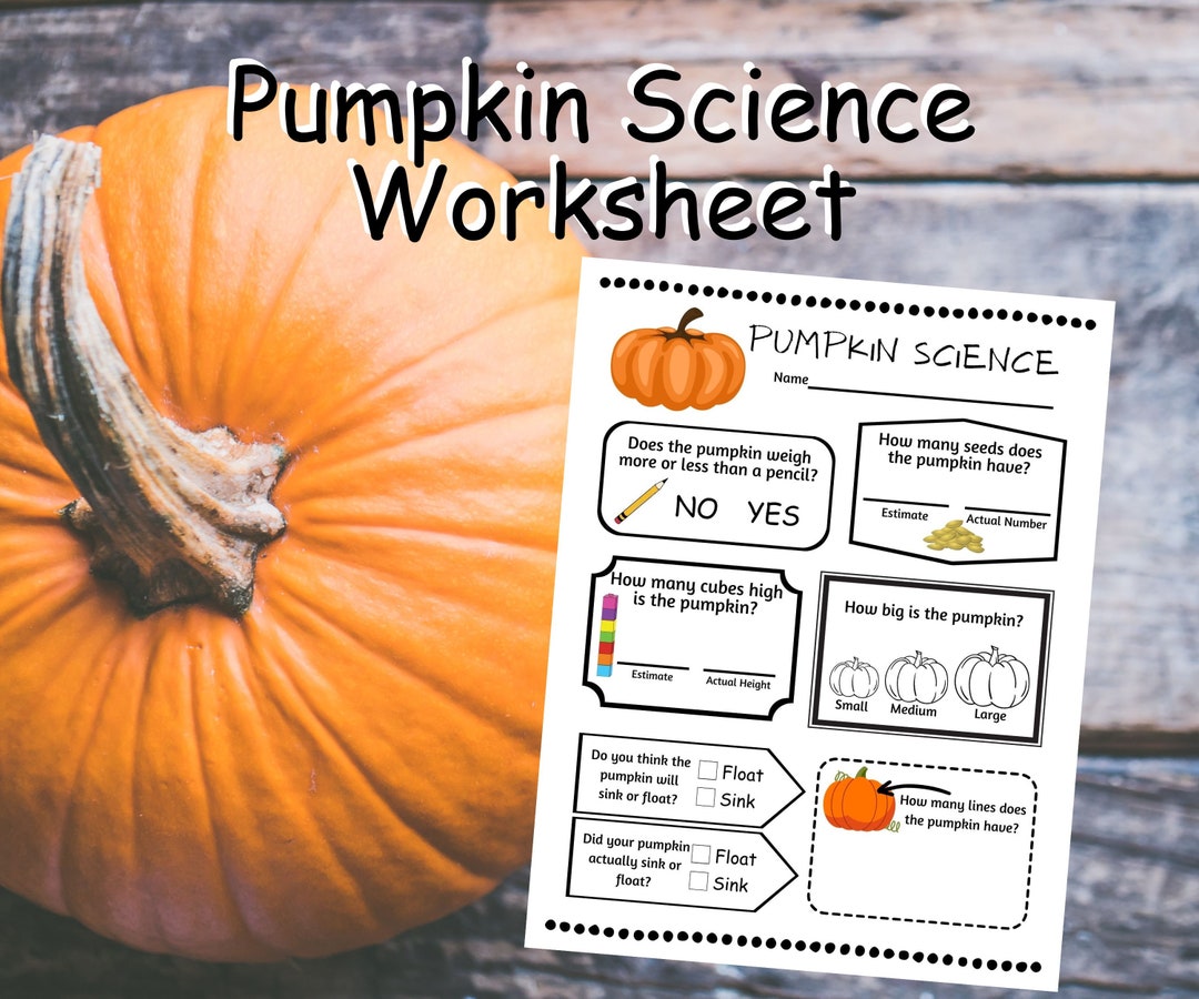 PUMPKIN SCIENCE INVESTIGATION | Experiment | Homeschool | Fall ...