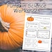PUMPKIN SCIENCE INVESTIGATION | Experiment | Homeschool | Fall ...