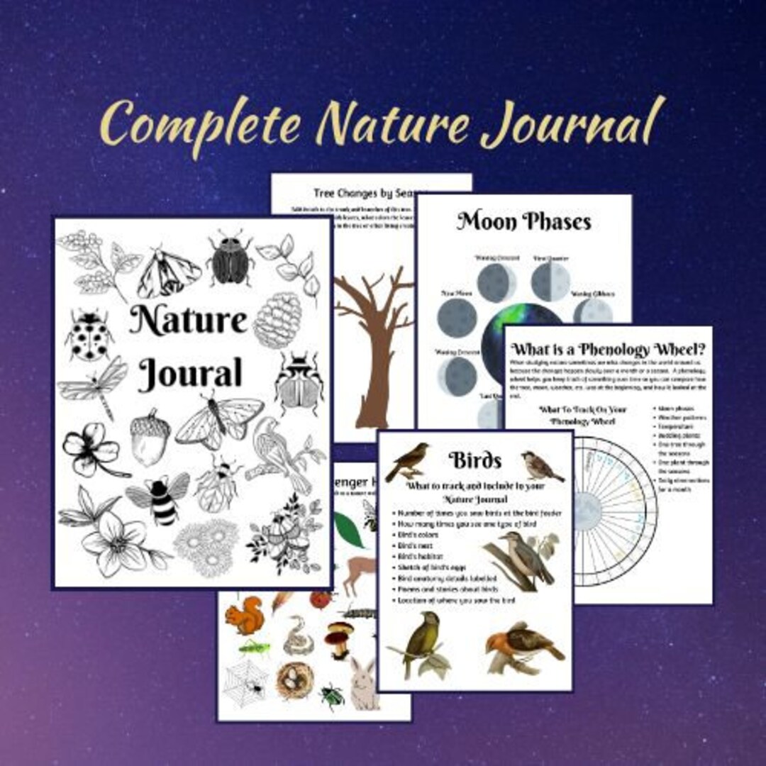 COMPLETE NATURE JOURNAL | Digital Printable | How to Keep A Nature ...