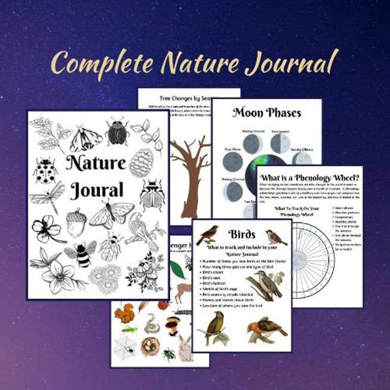 COMPLETE NATURE JOURNAL | Digital Printable | How to Keep A Nature ...