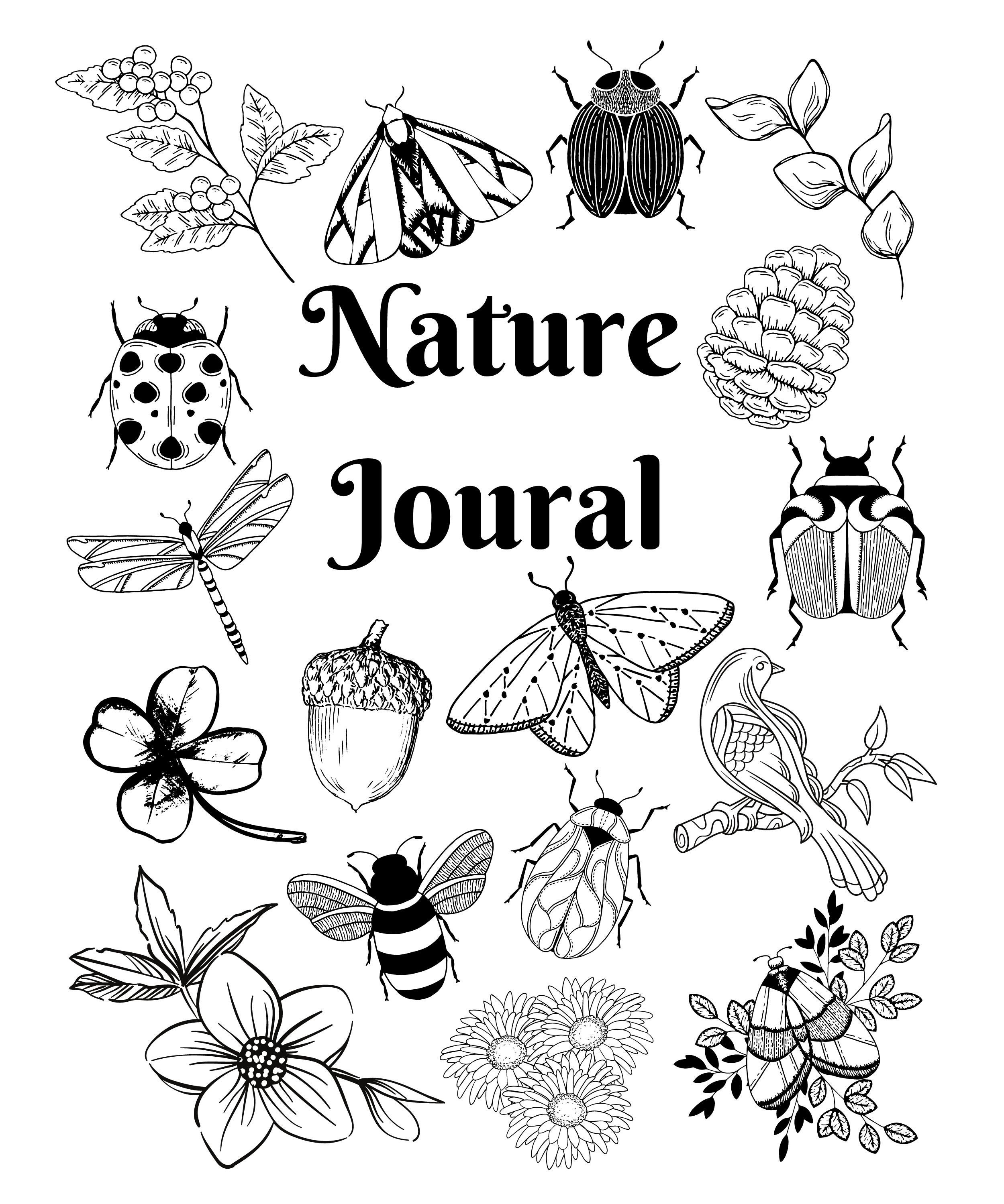 COMPLETE NATURE JOURNAL | Digital Printable | How to Keep A Nature ...