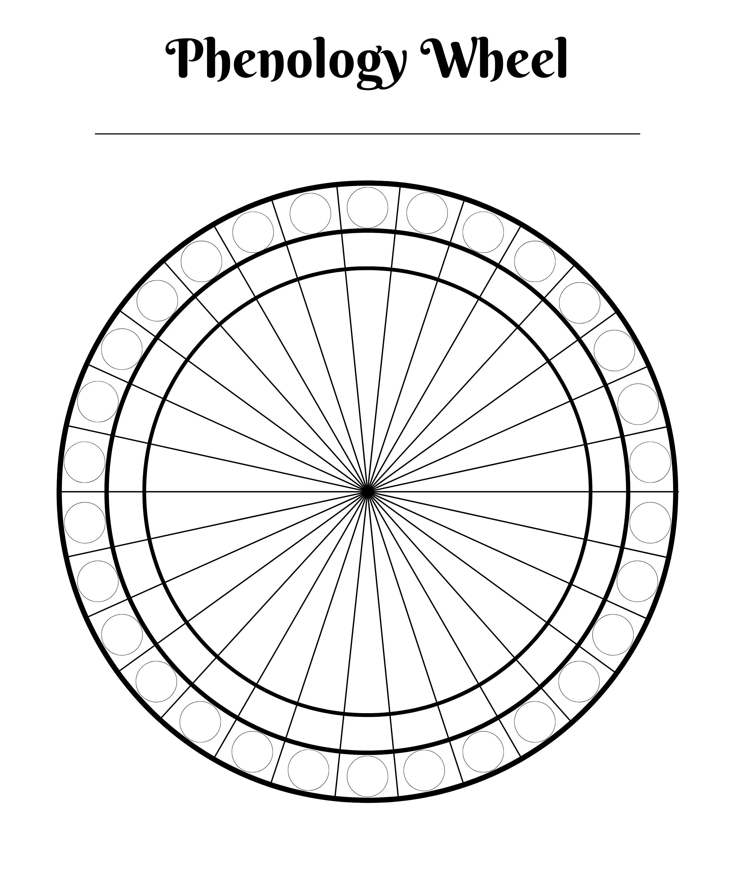 COMPLETE NATURE JOURNAL | Digital Printable | How to Keep A Nature ...