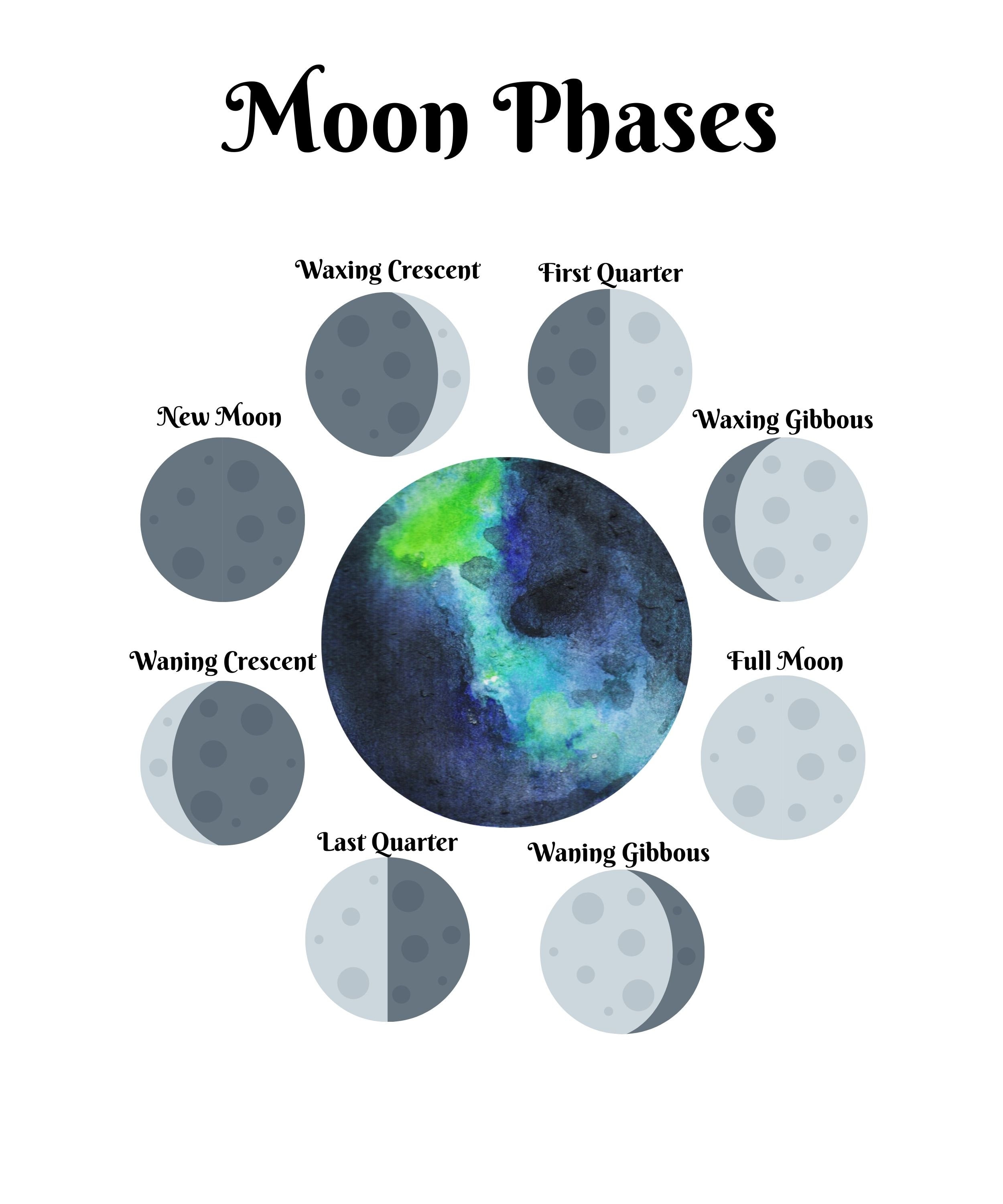 COMPLETE NATURE JOURNAL | Digital Printable | How to Keep A Nature ...