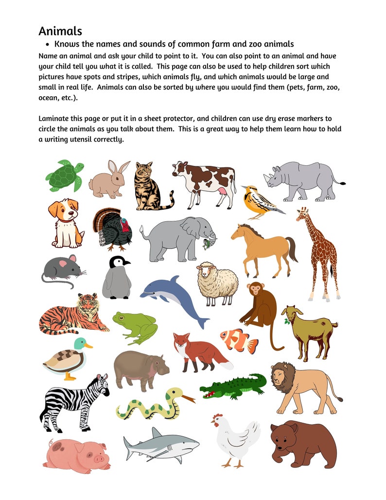 Preschool Skills Checklist: Homeschool Activity Ideas (PDF) - Etsy