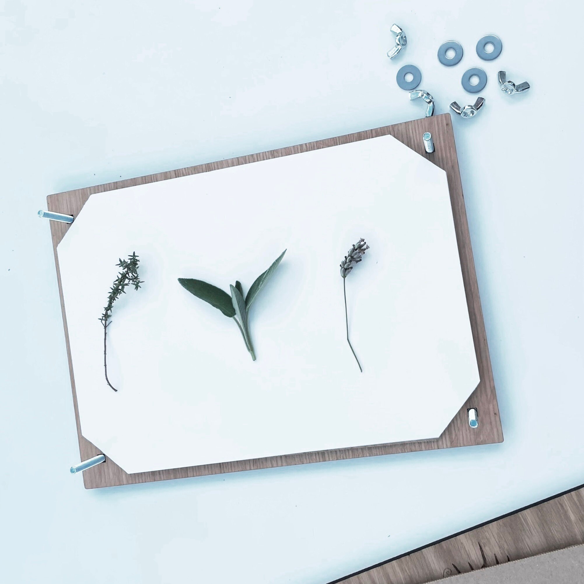 LARGE FLOWER PRESS - 33cm X 22cm (A4 Size) Beautifully Engraved Herb ...