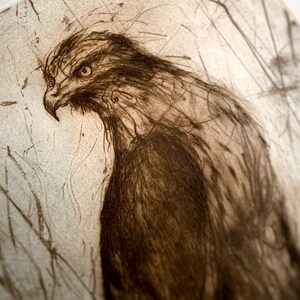 JakeMuirheadArt - Etsy