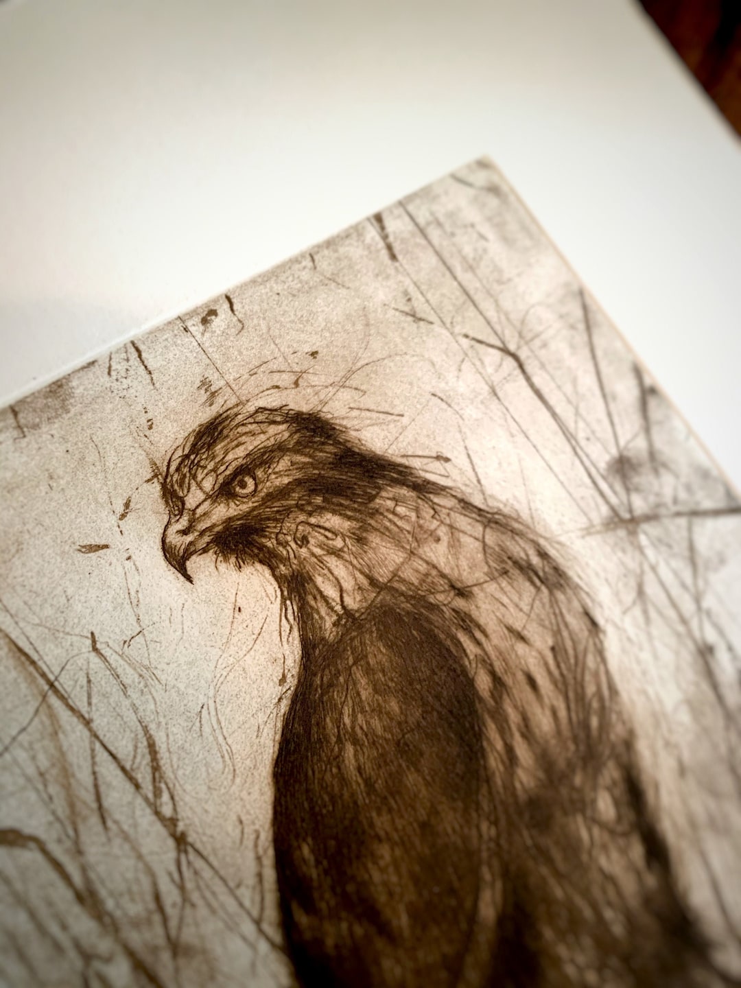 Original Etching, Fine Art Print, Intaglio by Jake Muirhead - Etsy