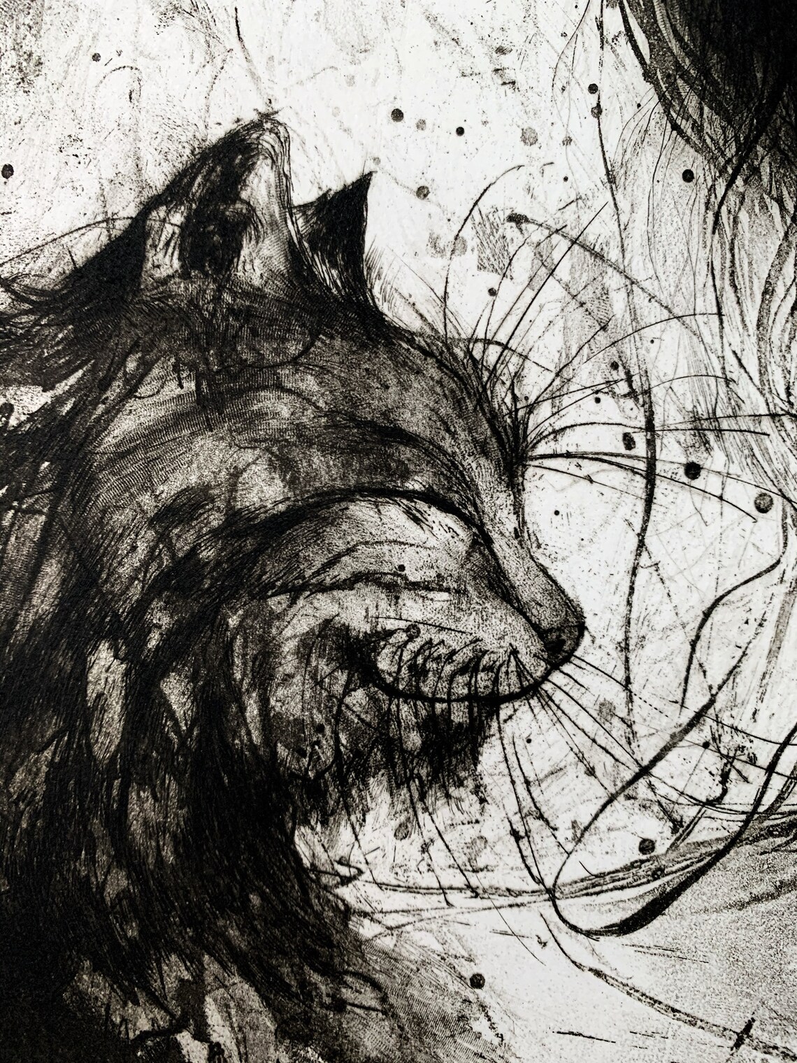 Original Etching, Fine Art Print, Intaglio by Jake Muirhead - Etsy