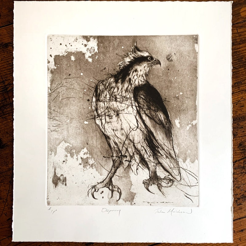 JakeMuirheadArt - Etsy