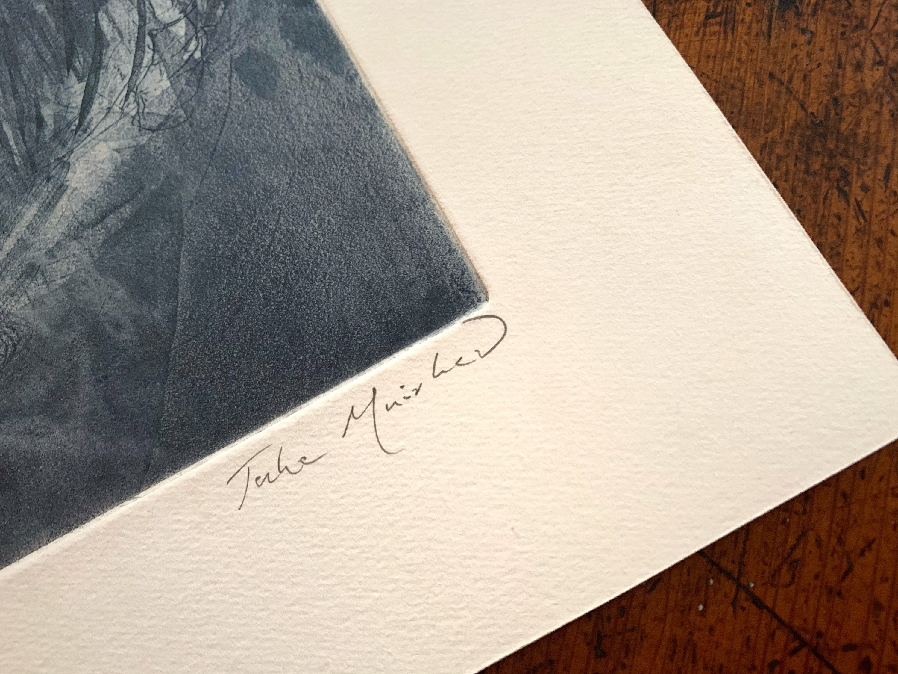 Original Etching, Fine Art Print, Intaglio by Jake Muirhead - Etsy UK