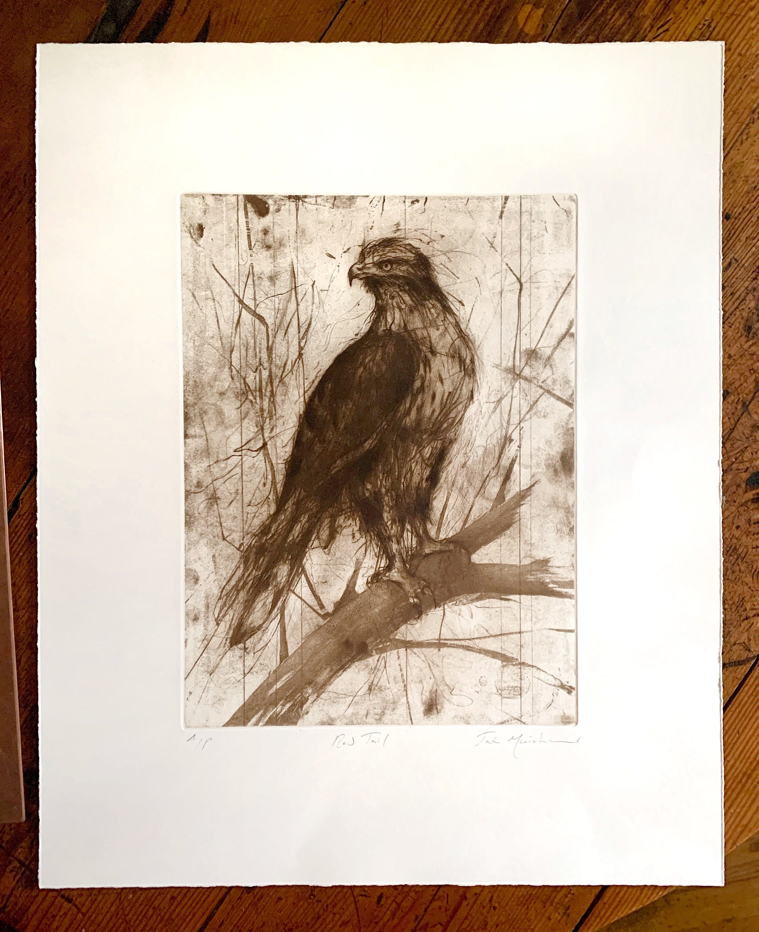 Original Etching, Fine Art Print, Intaglio by Jake Muirhead - Etsy