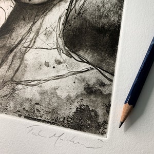 Original Etching, Fine Art Print, Intaglio by Jake Muirhead - Etsy