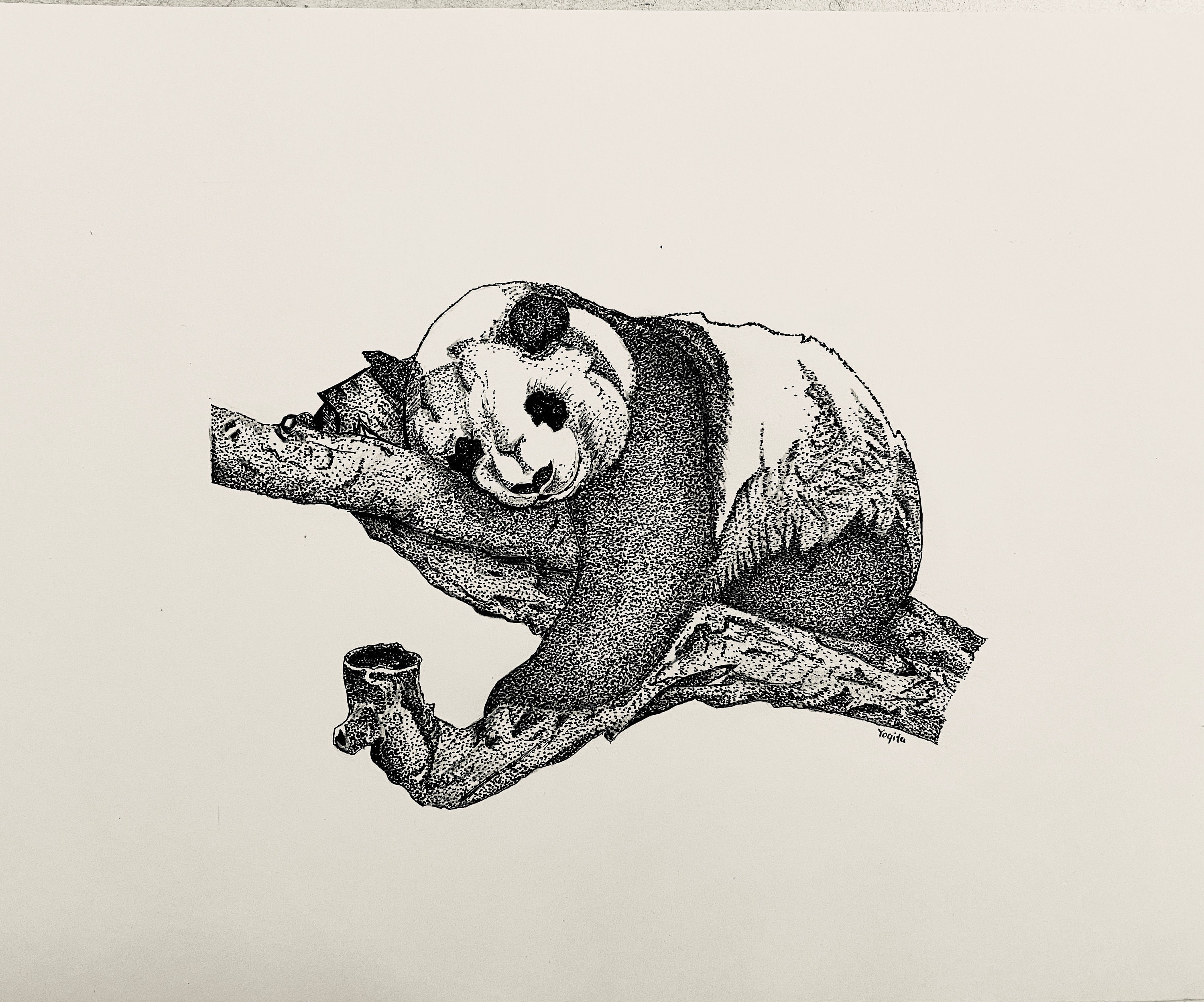 Sleeping Panda Drawing