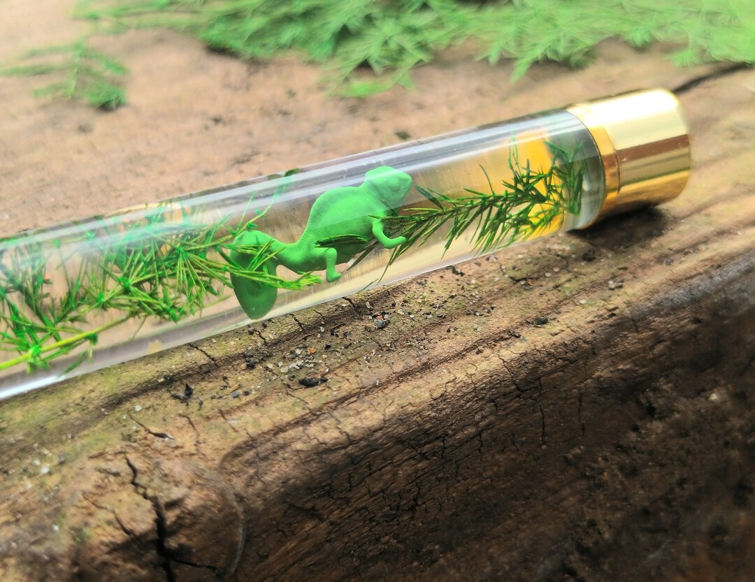 Chameleon Pen, Terrarium Gift, Lizard Pen, Reptile Gift, Tiny Chameleon, Float Pen, Gift for Her ...
