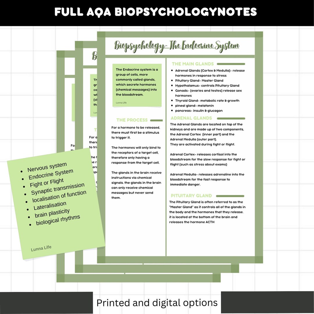 AQA A-level Psychology Full & Complete Detailed Biopsychology Notes - Etsy