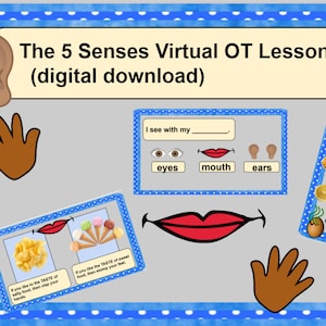 5 Senses OT Virtual Lesson Digital Download - Etsy