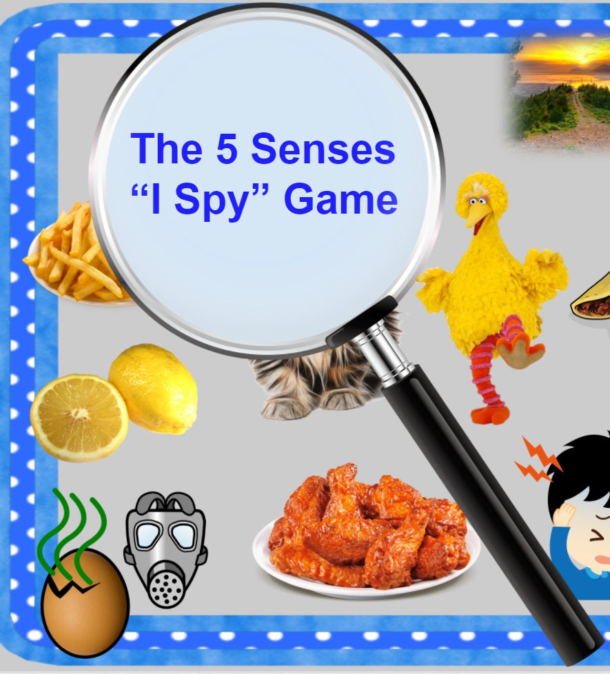 5 Senses OT Virtual Lesson Digital Download - Etsy