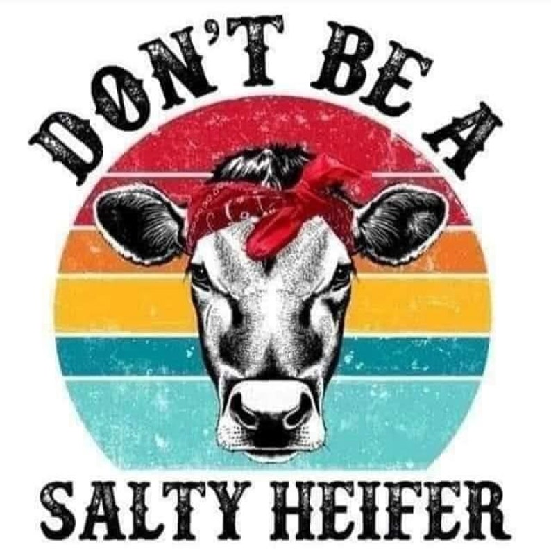 Don’t Be a Salty Heifer - Etsy