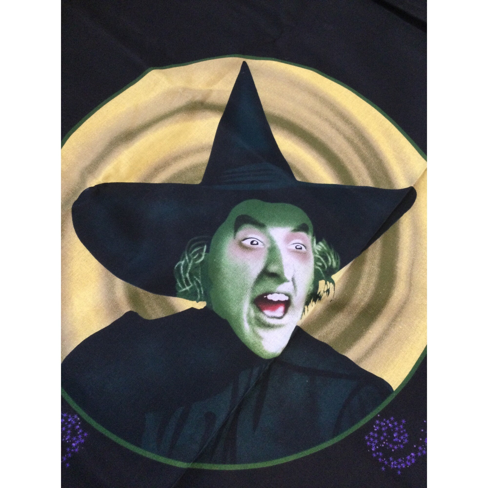 Wizard of Oz Fabric Panel and Instructions for DIY Wicked Witch Apron ...