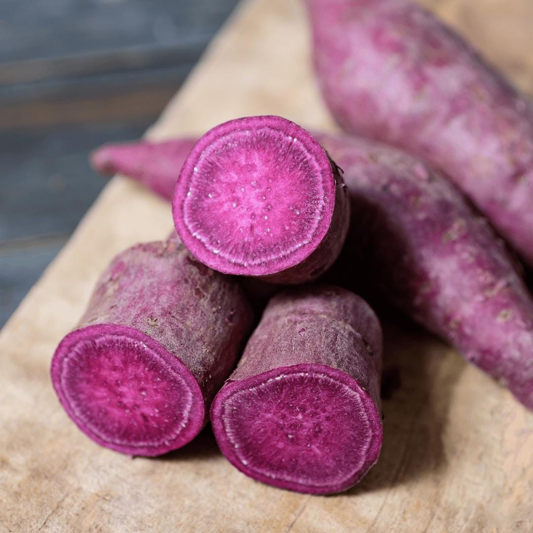 Purple Sweet Potato Slips for Planting | Live Heirloom Variety ...