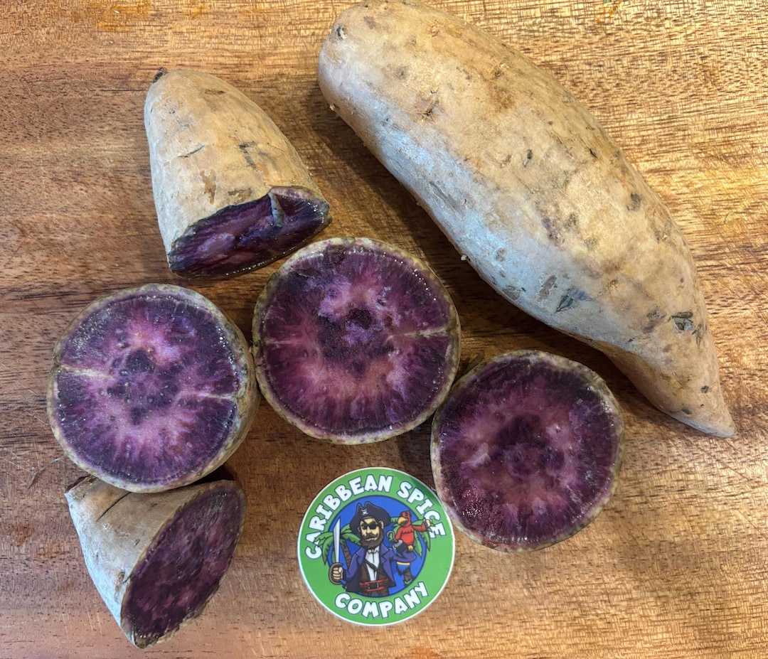 Okinawan Sweet Potato Slips for Planting - Etsy