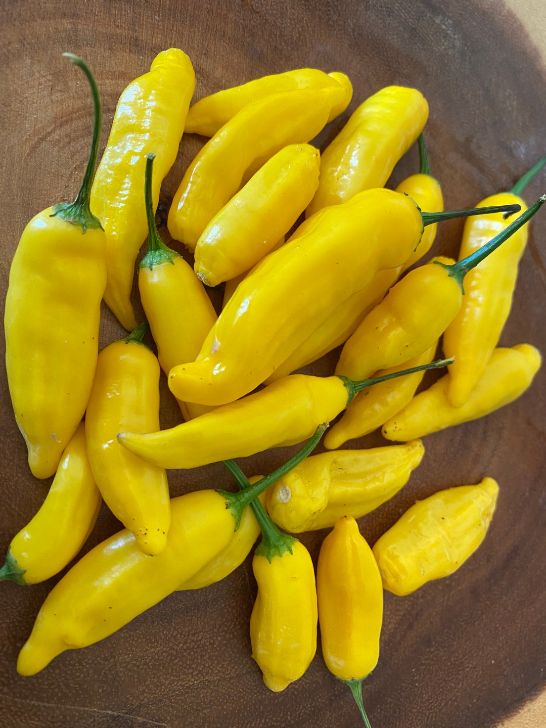 Aji Lemon Drop 15 Seeds - Etsy