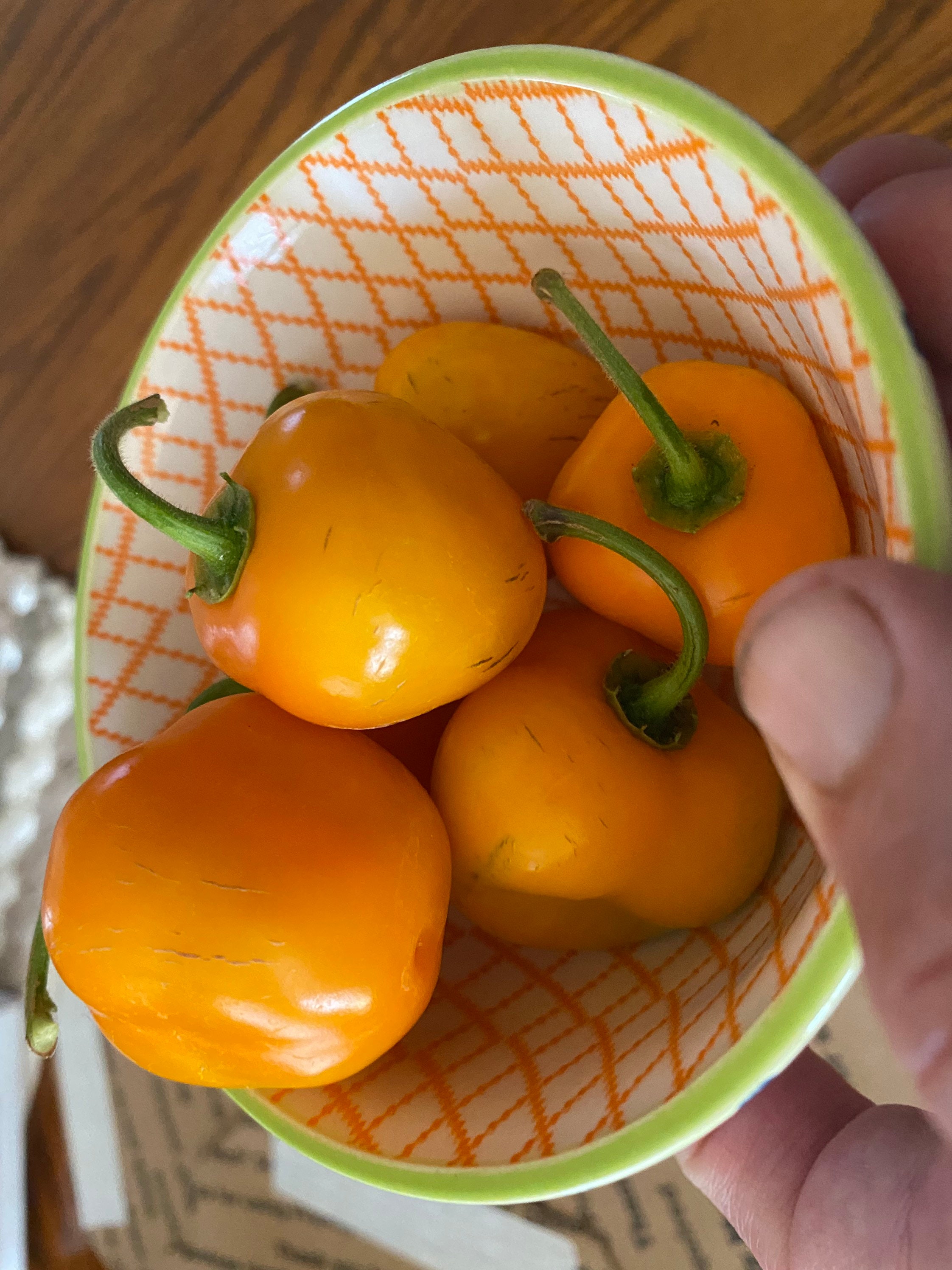 Rare Orange Rocoto Pepper Seeds Vibrant Spicy and Exotic - Etsy.de