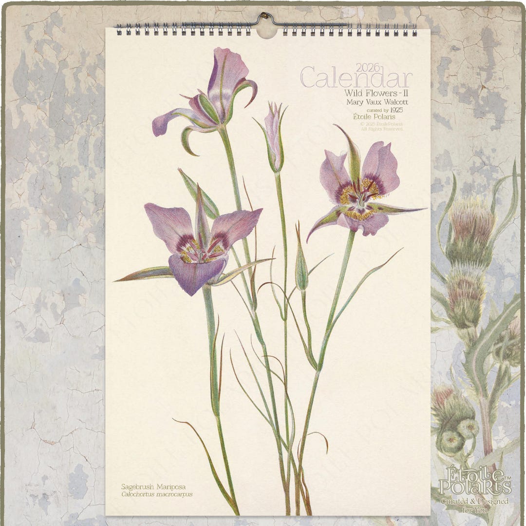 2026 Wildflower Botanical Calendar : Mary Vaux Walcott Art, A3/tabloid ...