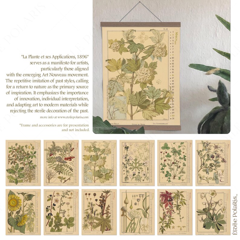Printable Botanical Calendar 2025 / Digital Monthly Wall Calendar ...