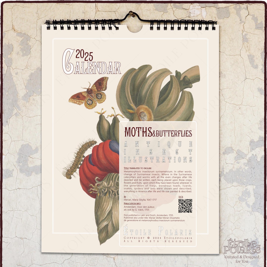 2025 Wall Calendar - Moth & Butterfly Illustrations by Maria Sibylla ...