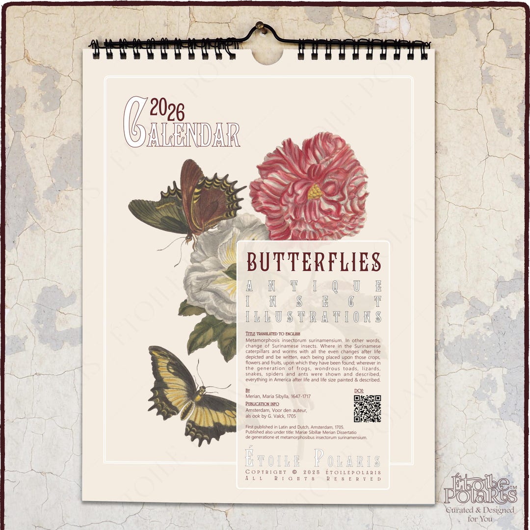 2026 Butterfly Wall Calendar : Maria Sibylla Merian Illustrations, A4 ...