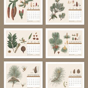Botanical Calendar 2023 printable / Antique Pine Illustrations Pine ...