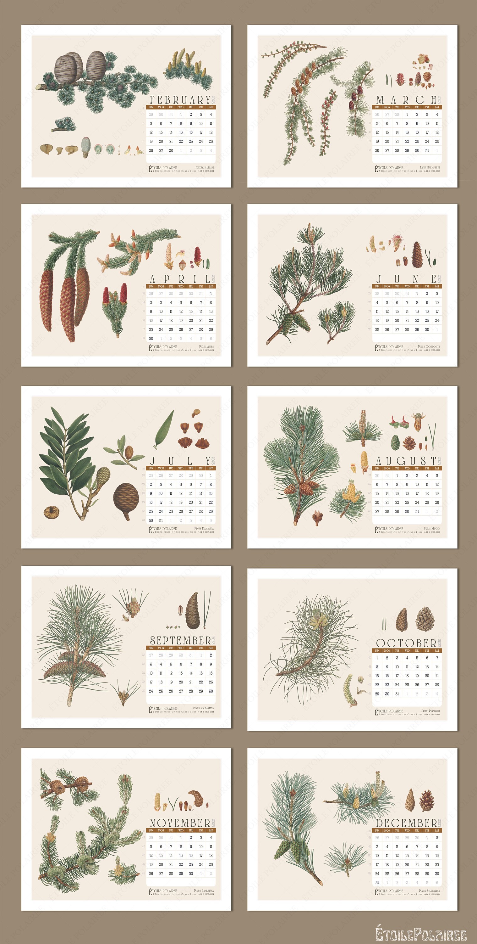 Botanical Calendar 2023 printable / Antique Pine - Etsy