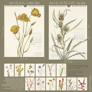 Botanical Calendar 2025, Wildflower Drawings by Mary Vaux Walcott ...