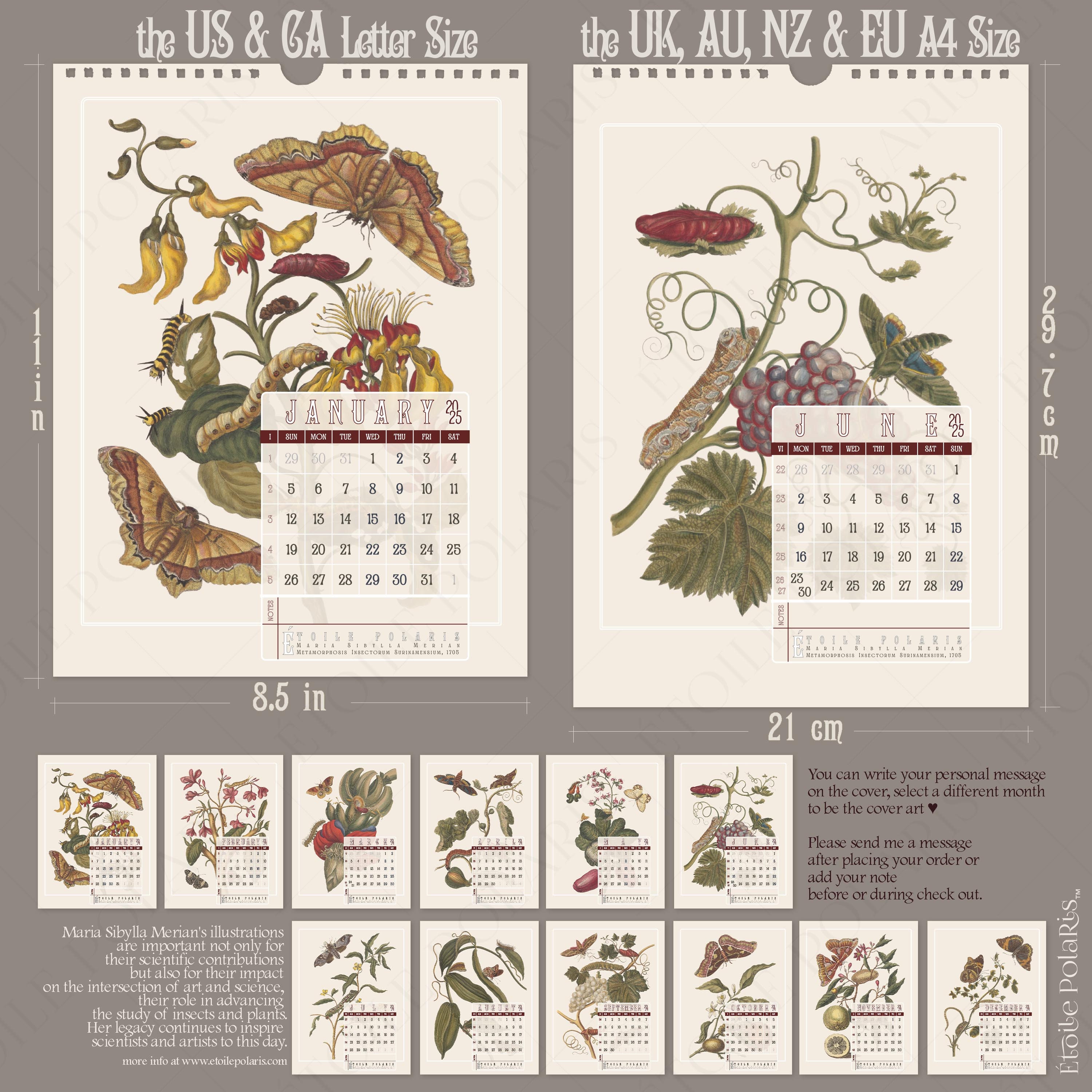 2026 Moth & Butterfly Wall Calendar : Maria Sibylla Merian ...