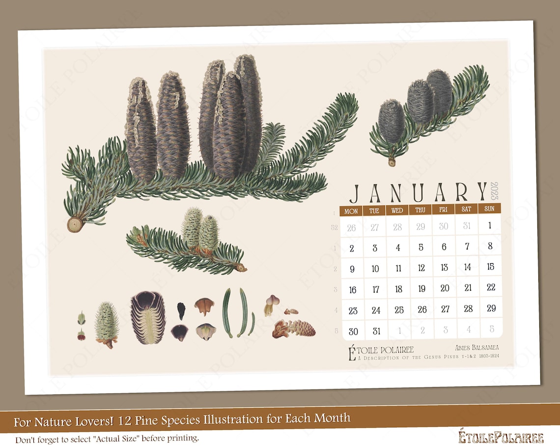 Botanical Calendar 2023 printable / Antique Pine - Etsy
