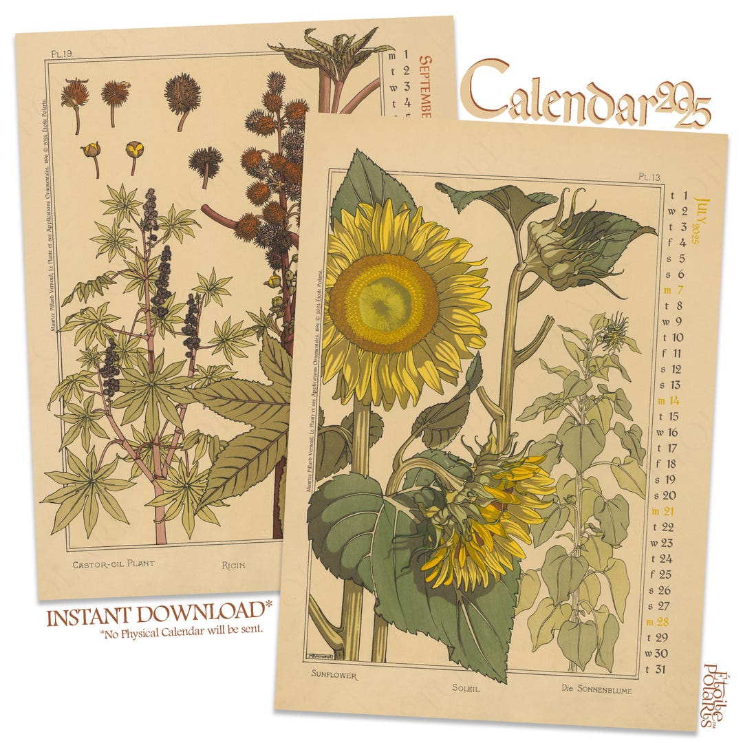 Printable Botanical Calendar 2025 / Digital Monthly Wall Calendar ...