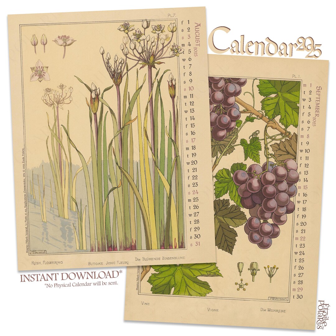 Printable Botanical Calendar 2025 / Digital Monthly Wall Calendar ...