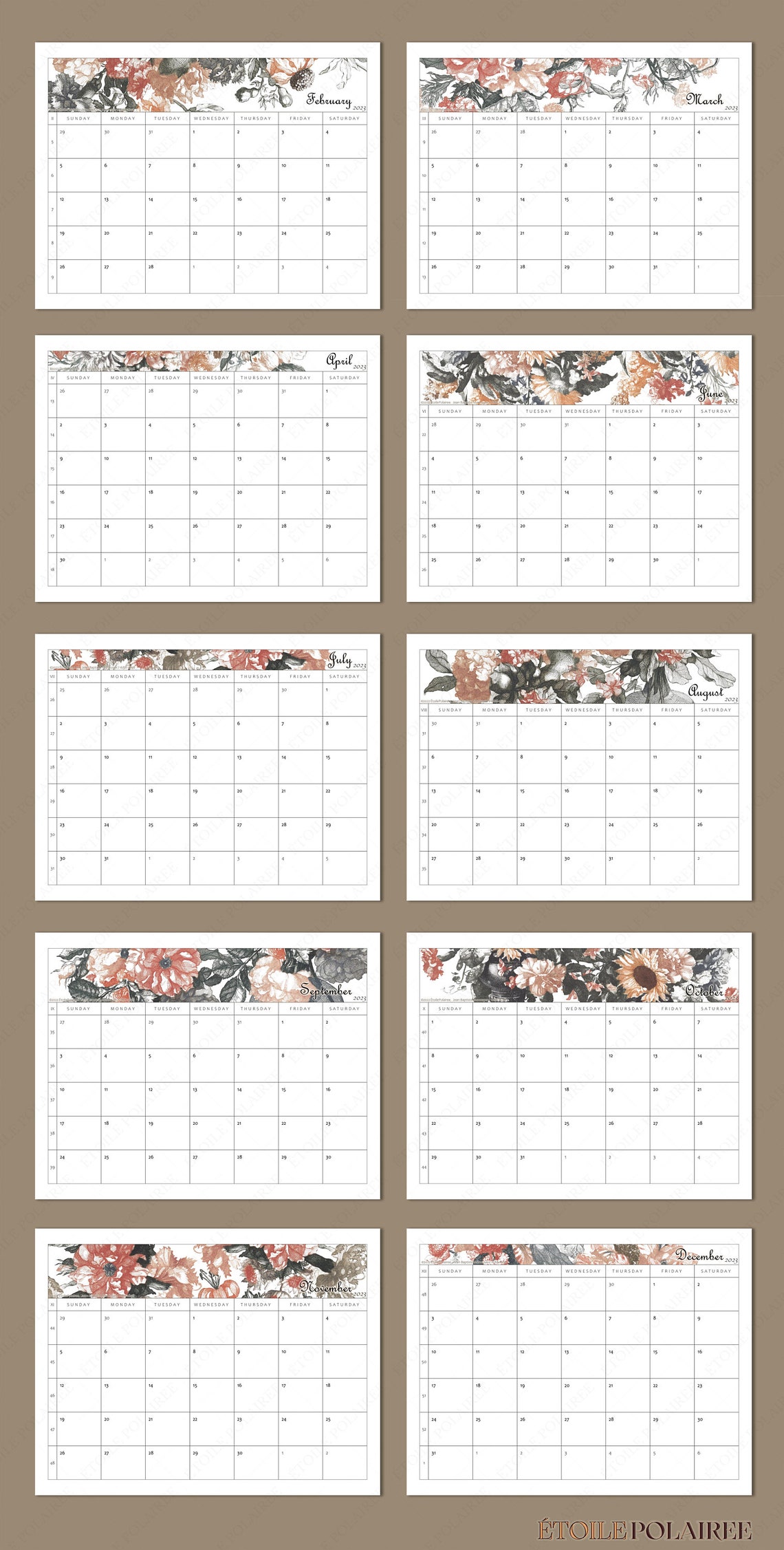 2023 Printable Calendar / Minimal Floral Calendar 2023 - Etsy