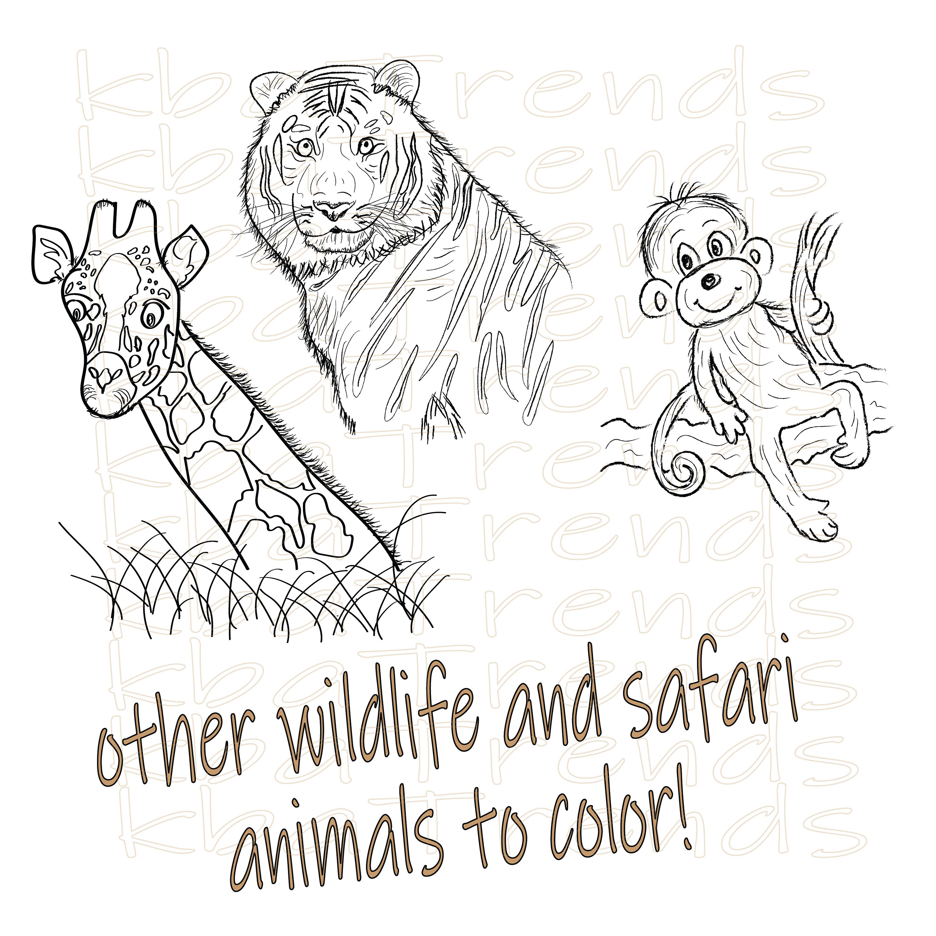 Zoo Animals Wildlife to Color, Digital Art Coloring Pages for Kids ...