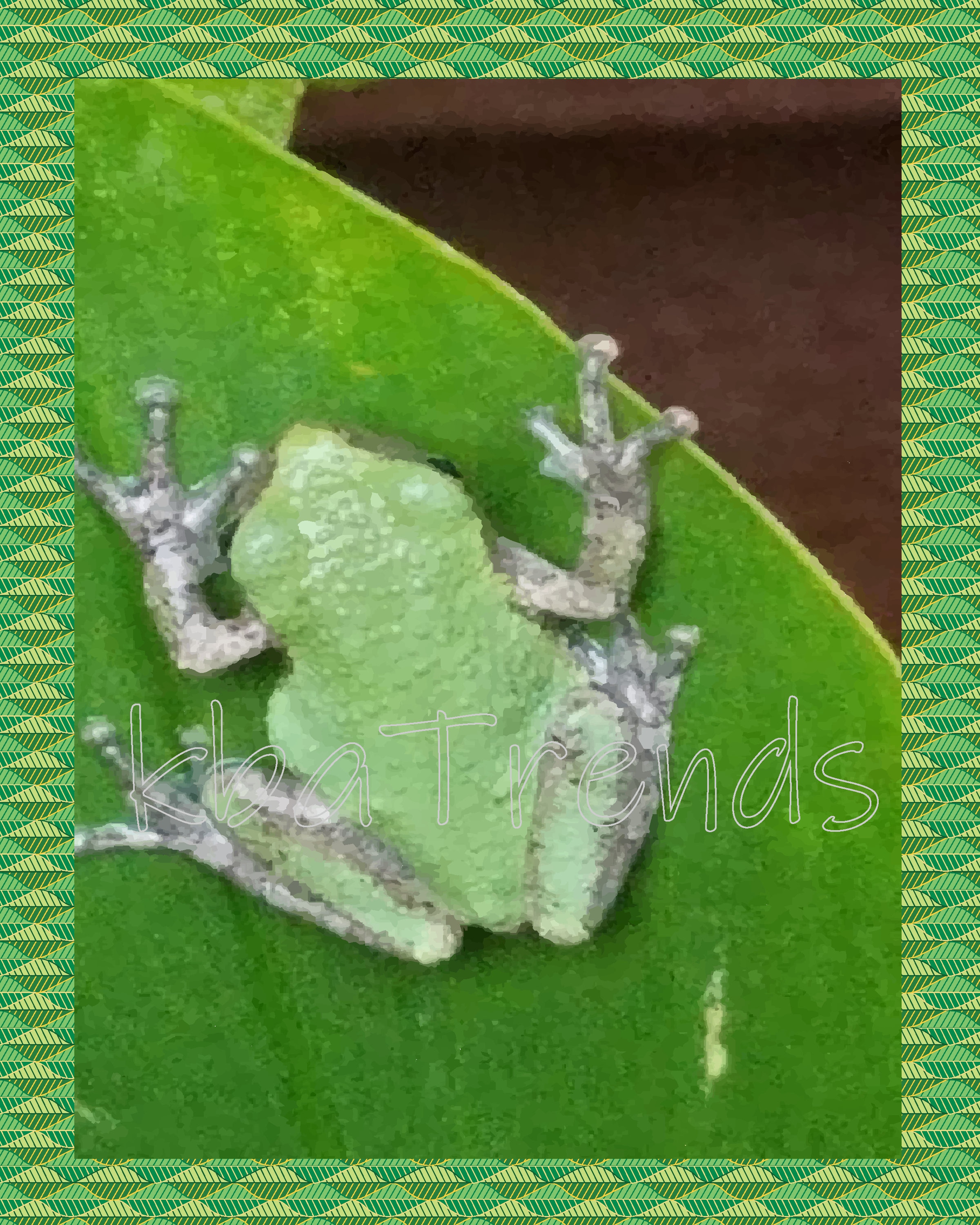 Frog Art, Frog Print, Tree Frog Picture, Digital Art, Green Frog Print ...