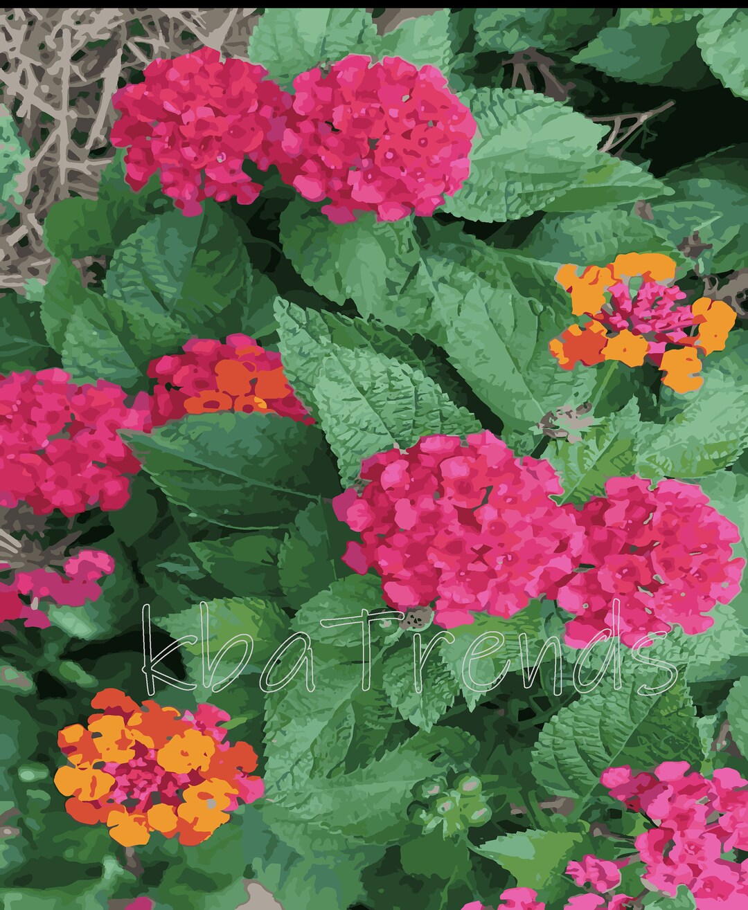 Lantana Flower Digital 8x10, Unique Vector Art, Flower Garden Picture ...